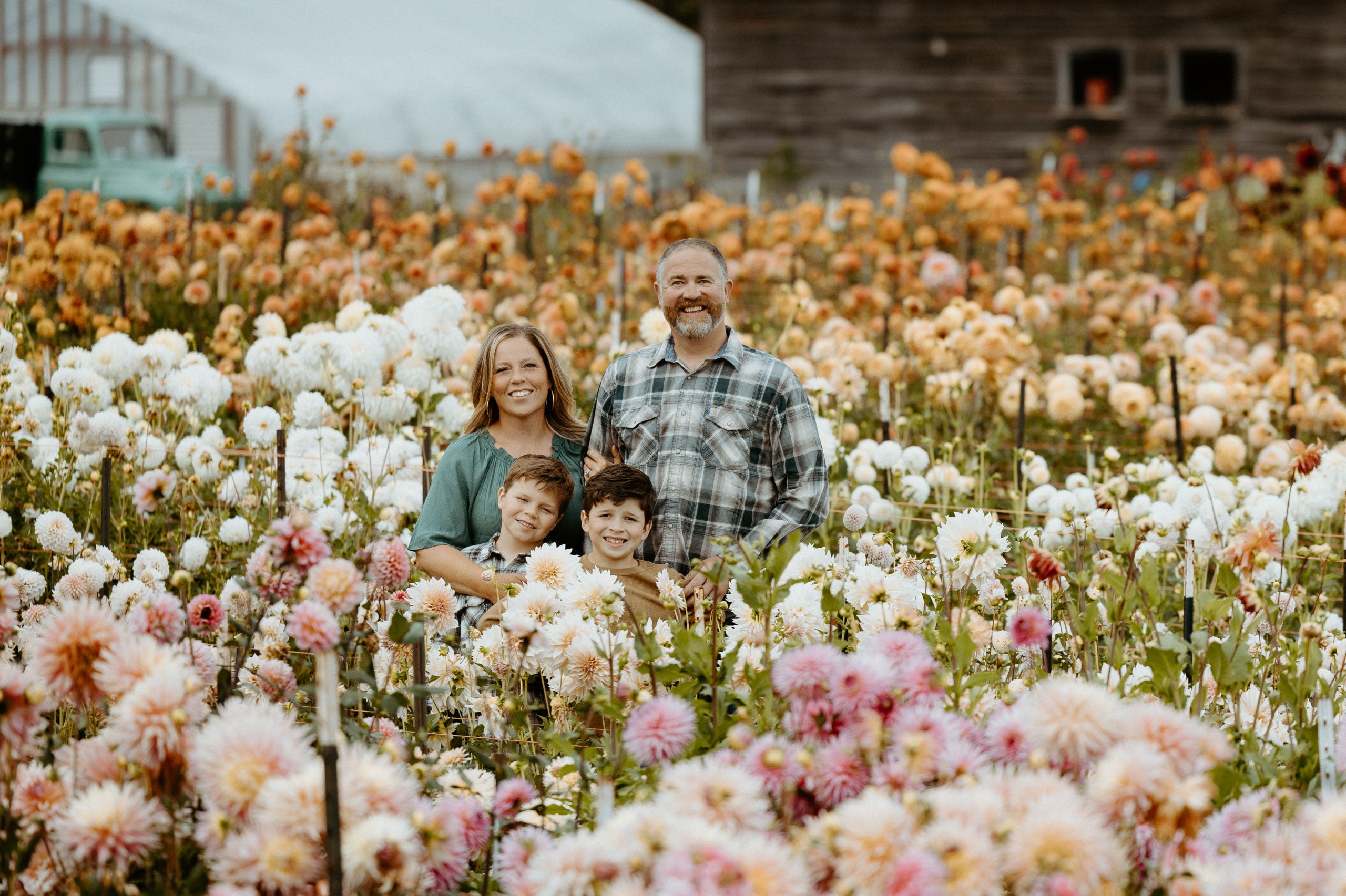 Homepage Feature – The Farmhouse Flower Farm