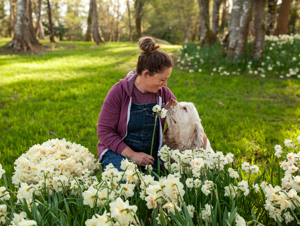 Flower Farm – The Farmhouse Flower Farm