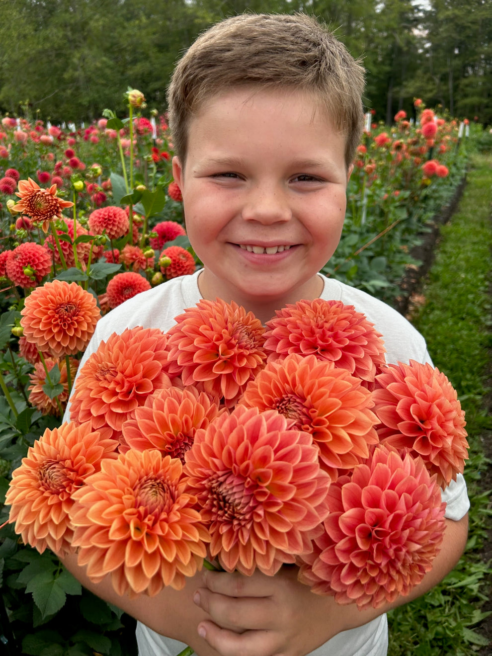 The Farmhouse Flower Farm