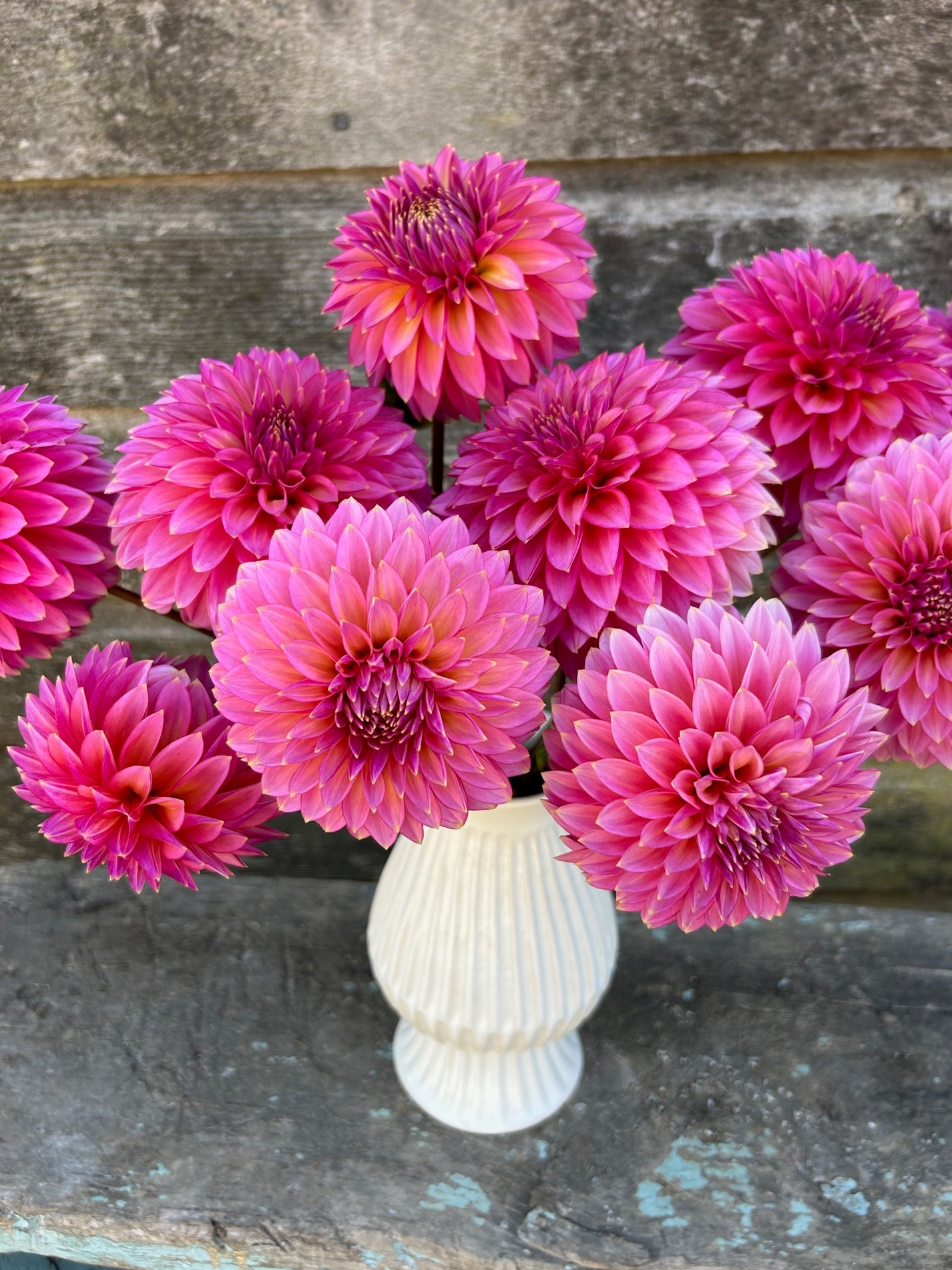 Bloomquist Mojo – The Farmhouse Flower Farm