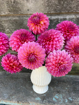 Bloomquist Mojo – The Farmhouse Flower Farm