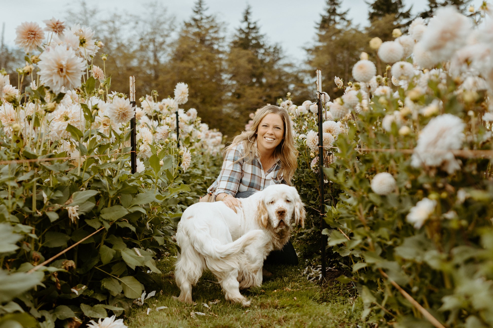 Frequently Asked Questions – The Farmhouse Flower Farm