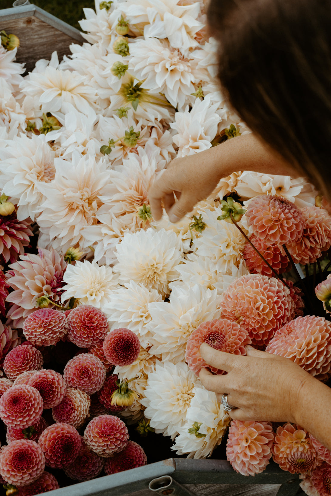 The Farmhouse Flower Farm