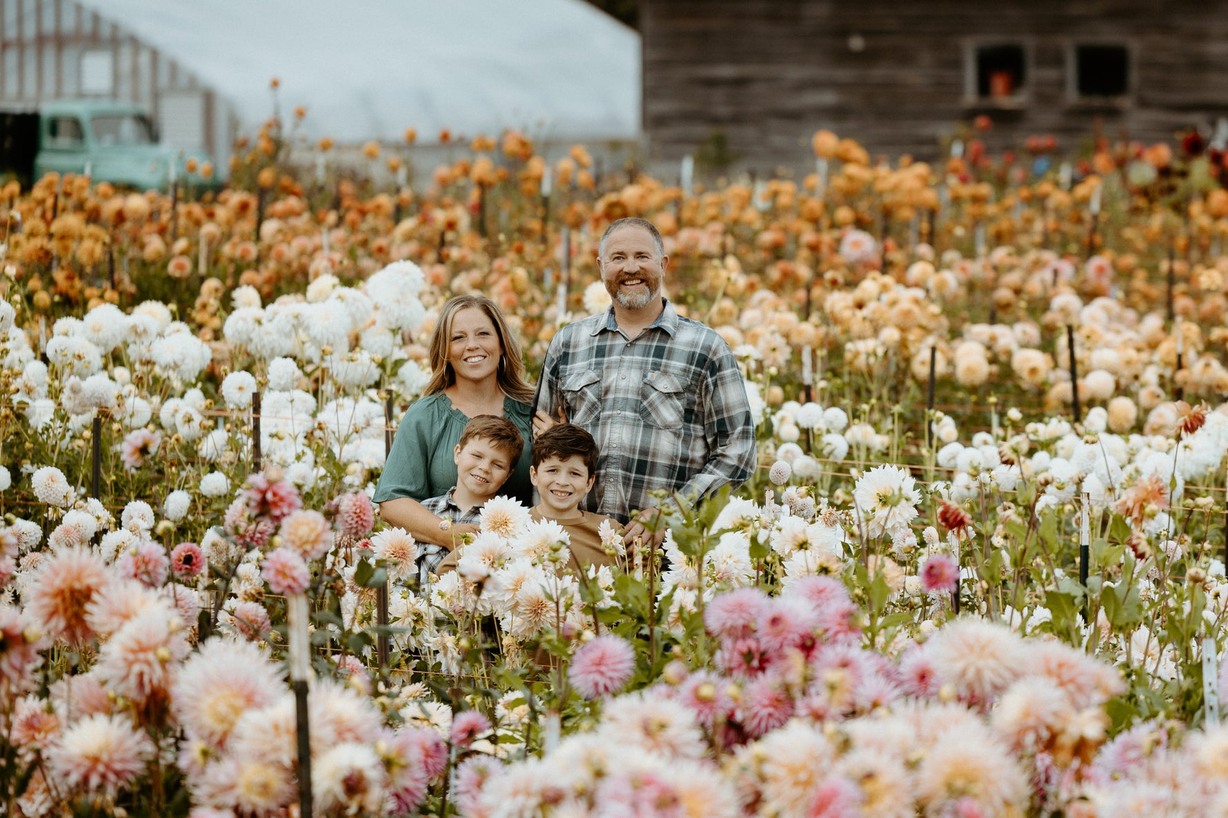 The Farmhouse Flower Farm | Sweet Peas, Seeds, Corms and Dahlia Tubers