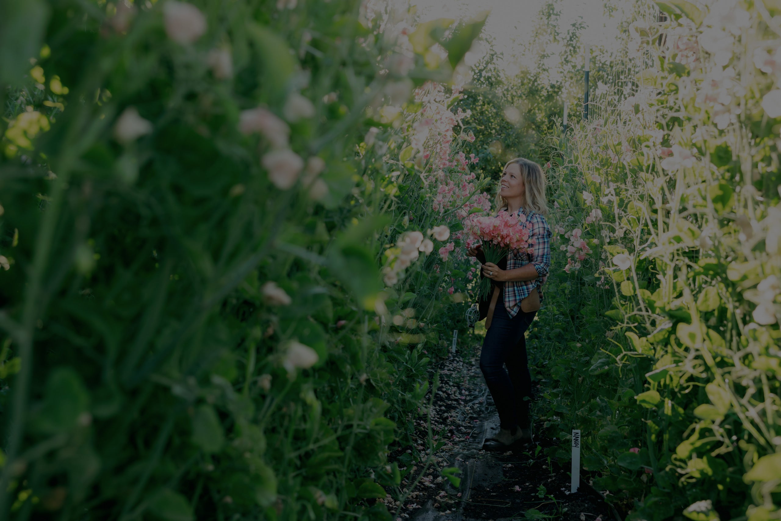 Sweet Pea School The BOOK | Marryn Mathis of the Farmhouse Flower Farm ...