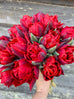 Tulip - Red Princess – The Farmhouse Flower Farm