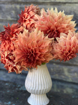 Sierra Glow – The Farmhouse Flower Farm