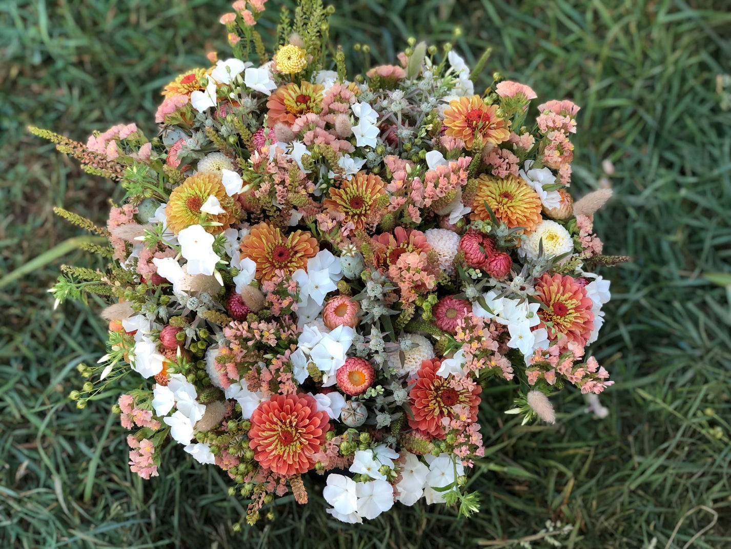 Cress - Green Dragon – The Farmhouse Flower Farm