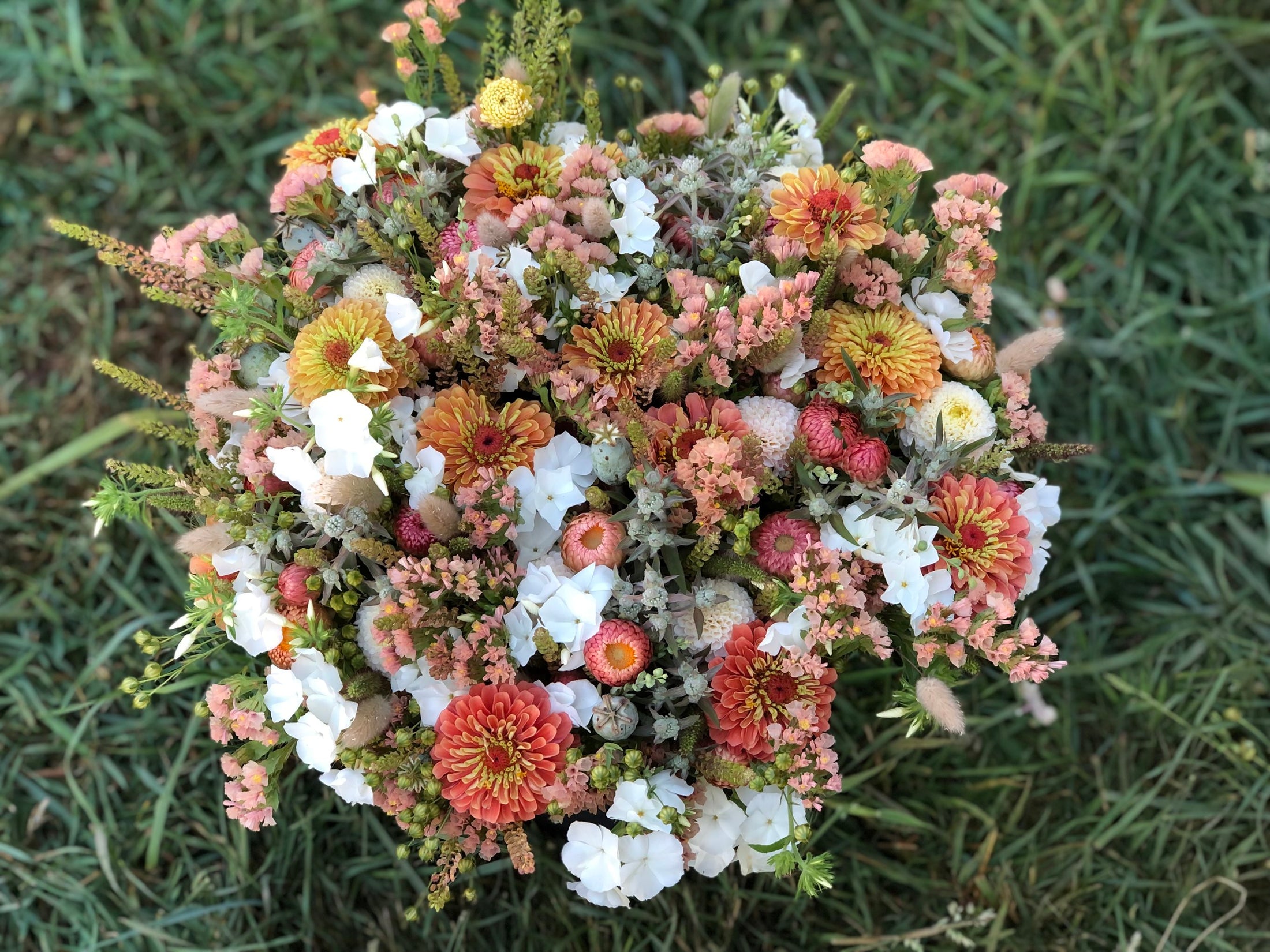 Cress - Green Dragon – The Farmhouse Flower Farm