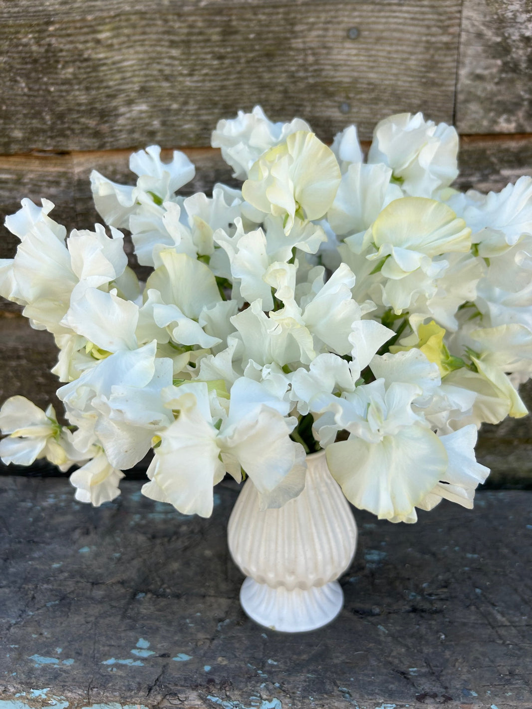 Sweet Peas – The Farmhouse Flower Farm
